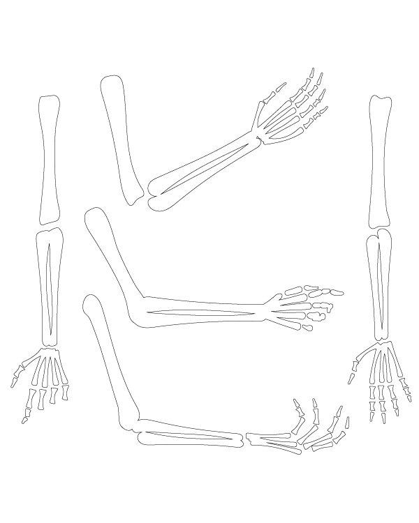 Skeleton Arm Png Ubicaciondepersonas cdmx gob mx